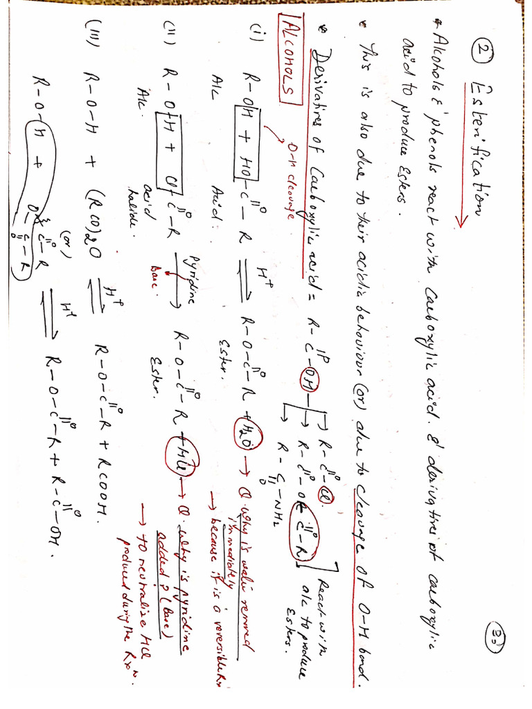 12 Alc Phenol PG 30-33 | PDF