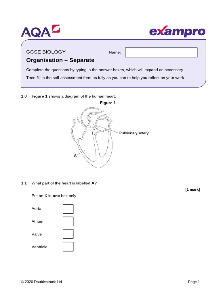 GCSE Biology: Heart and Plant Functions | PDF | Coronary Circulation ...