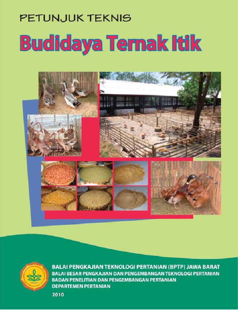 Juknis - Budidaya Ternak Itik | PDF