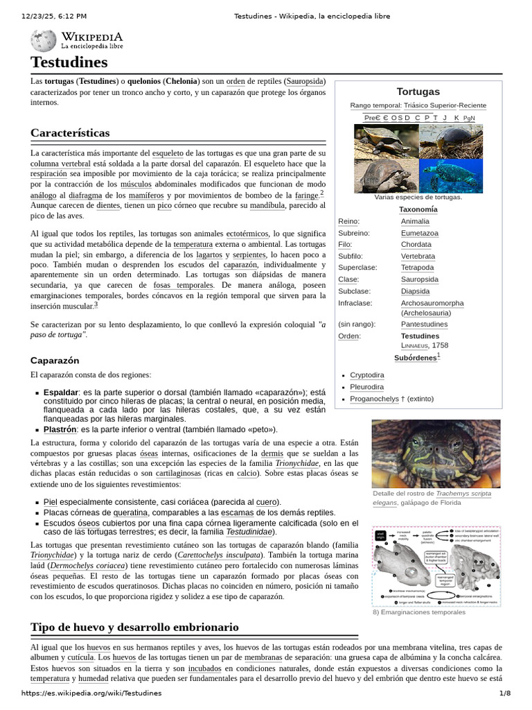 Características de las Tortugas (Testudines) | PDF | Tortuga | Reptil