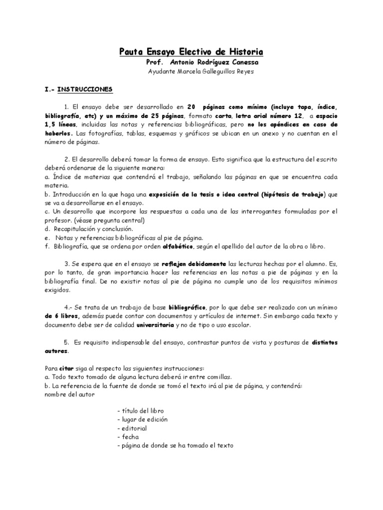 Pauta Ensayo | PDF | Ensayos | Bibliografía