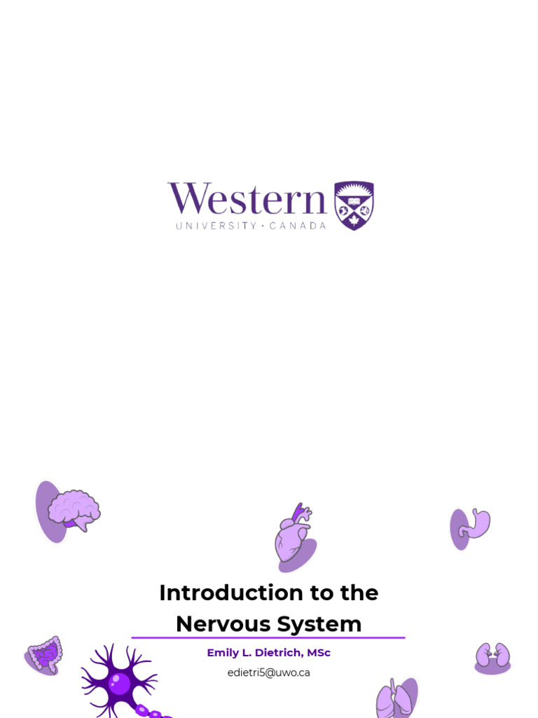 1A.2 Intro to the Nervous System_Student Copy | PDF | Nervous System | Axon