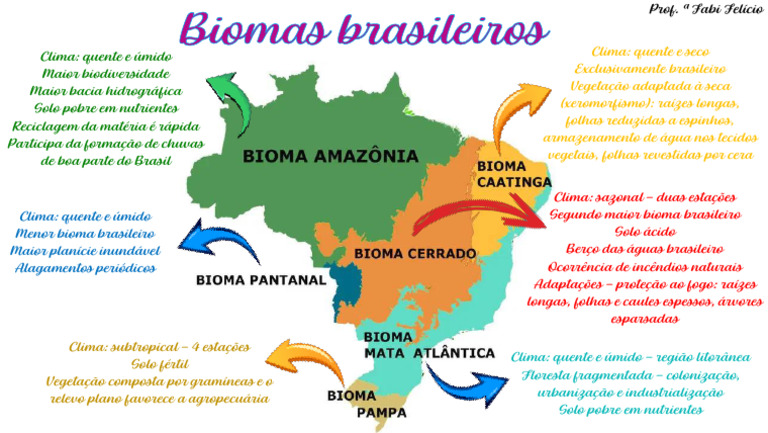 Mapa Mental - Biomas Brasileiros 20251020-184759 | PDF