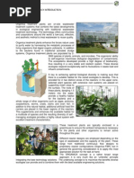 Food Chain Reactor | PDF | Sewage Treatment | Organic Farming