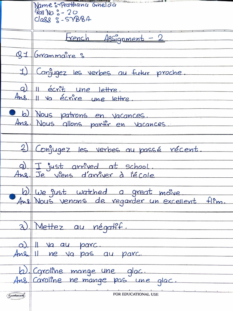 French Assignment 2 | PDF