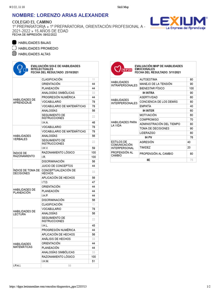 Skill Map LAA | PDF | Neurociencia | Psicología cognitiva