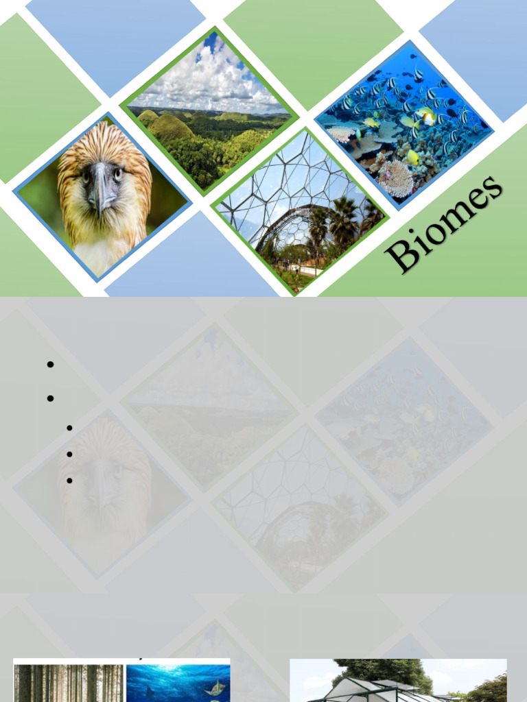 Overview of Biomes and Ecosystems | PDF