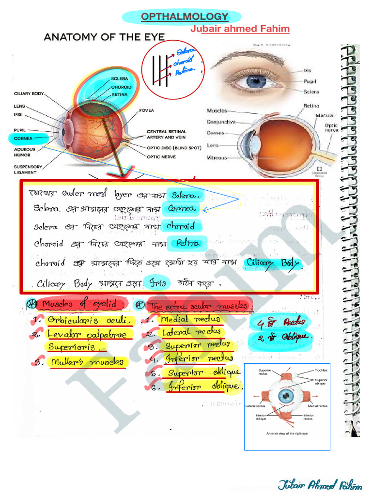 Ophthalmology Insights and Conditions | PDF | Glaucoma | Human Eye