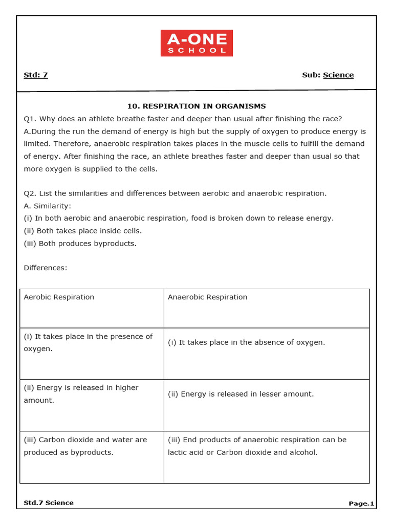 STD.7 SCIENCE CH - 6.pdf | PDF | Respiratory System | Cellular Respiration