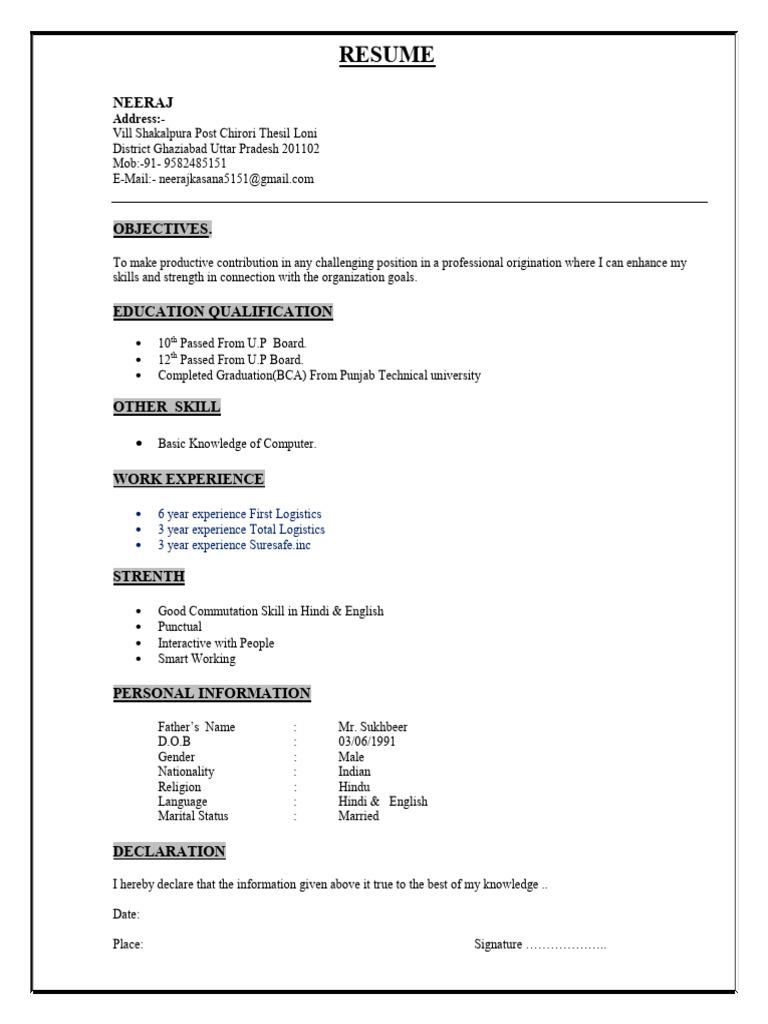 Neeraj's Professional Resume Overview | PDF