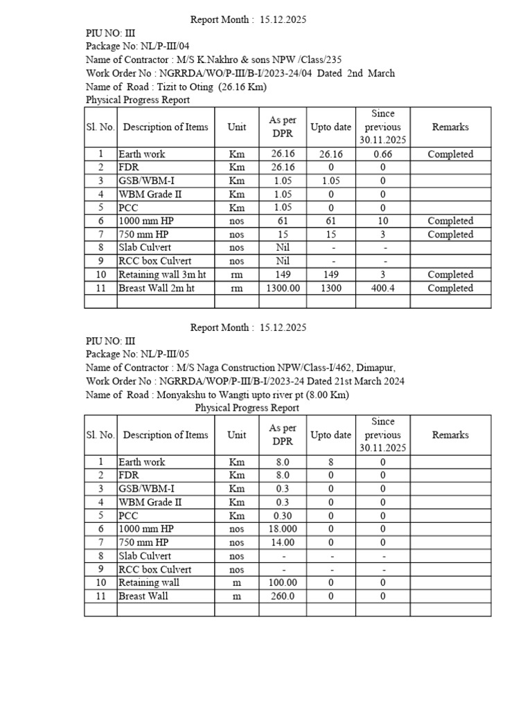 Progress report format | PDF