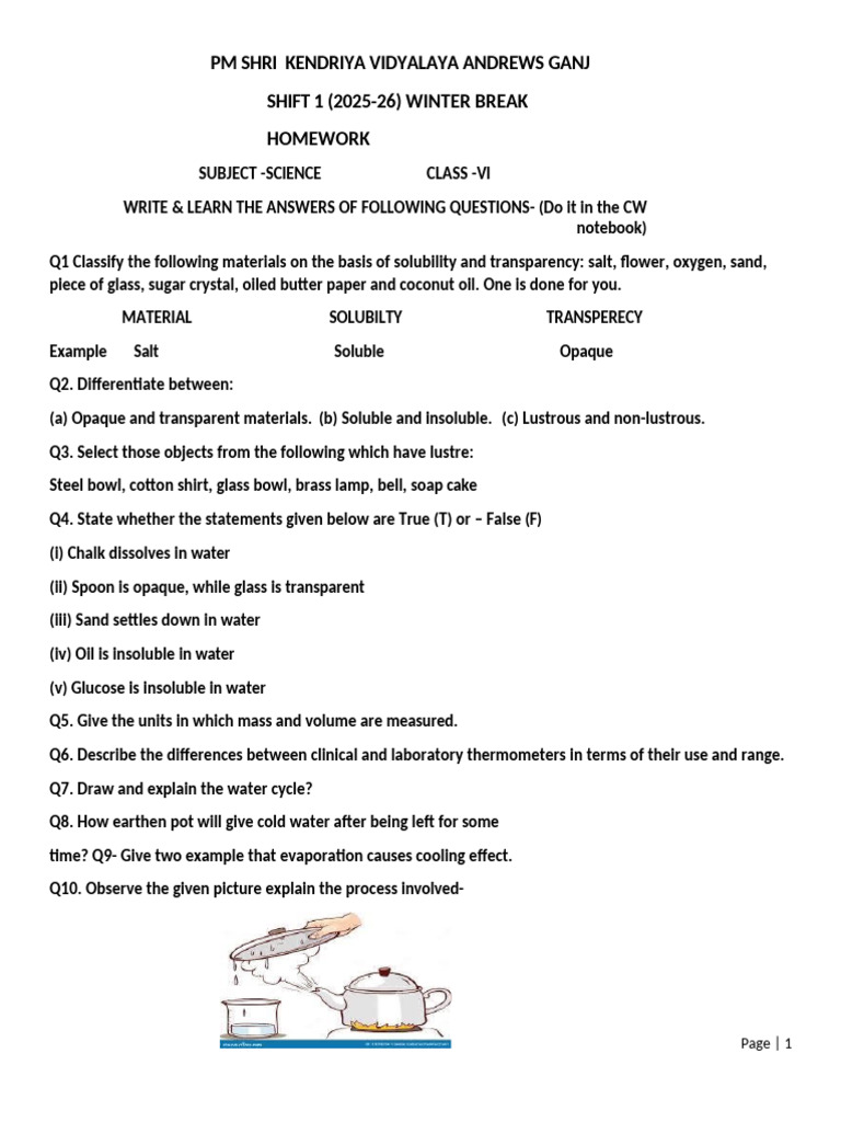 Science Winter Break Homework Vi (2025-26) | PDF | Foods | Solubility