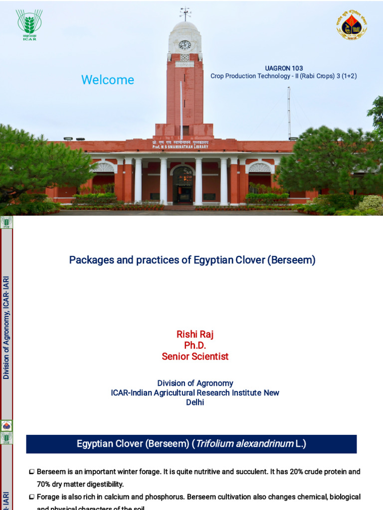 RR Class Barseem | PDF | Sowing | Seed