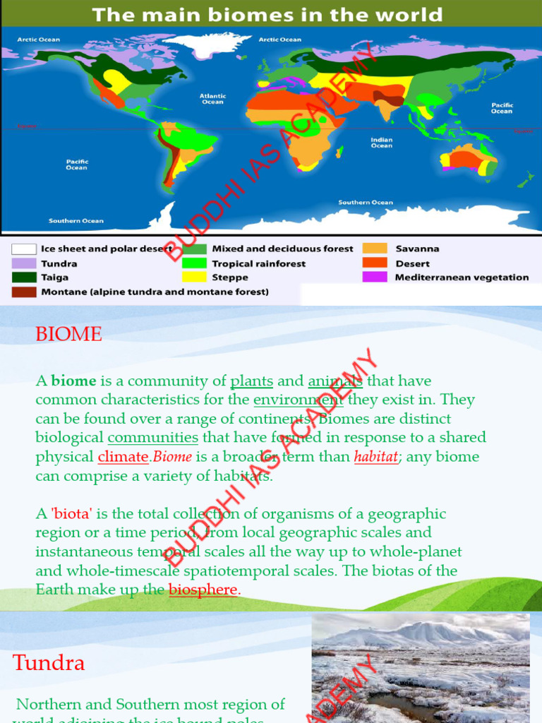 Understanding Earth's Biomes and Ecosystems | PDF | Grassland | Rainforest