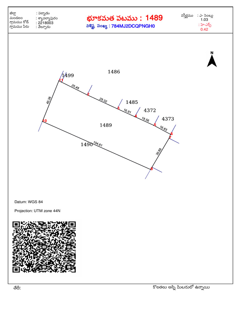 1489 Feald Map Rajamma | PDF