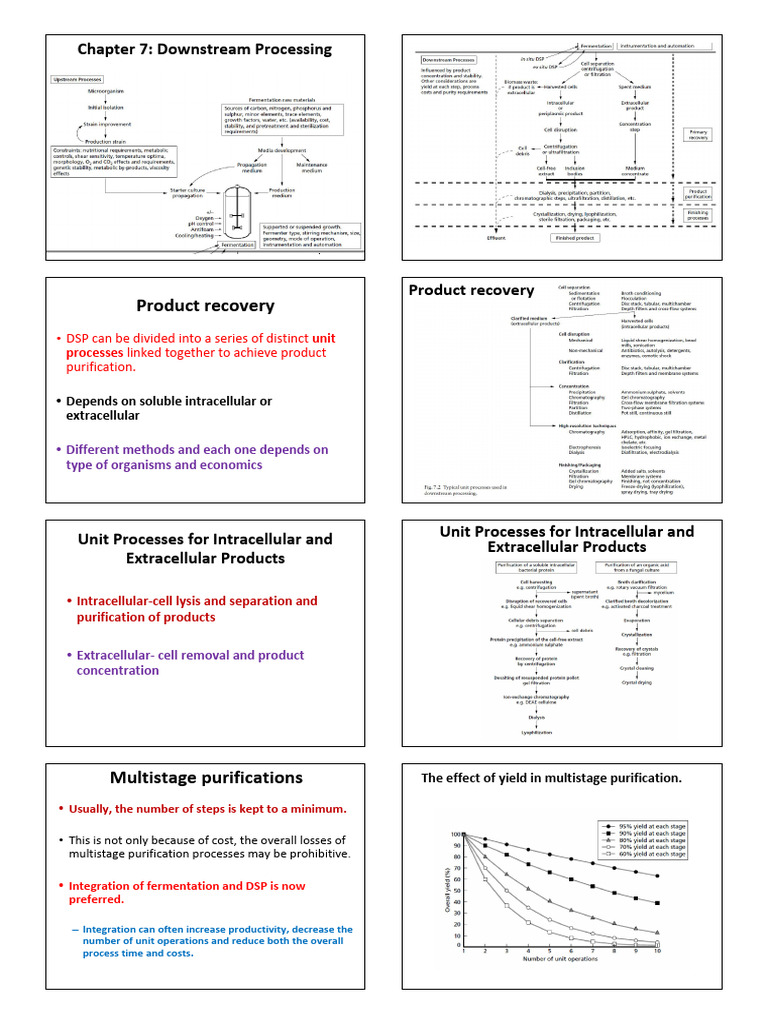 Chapter 7 Downstream Processing_3.12.2025 - Converted | PDF ...