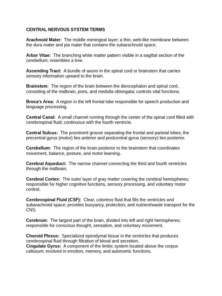 Cns and Pns Terms for Exam 4 | PDF | Central Nervous System | Motor Neuron