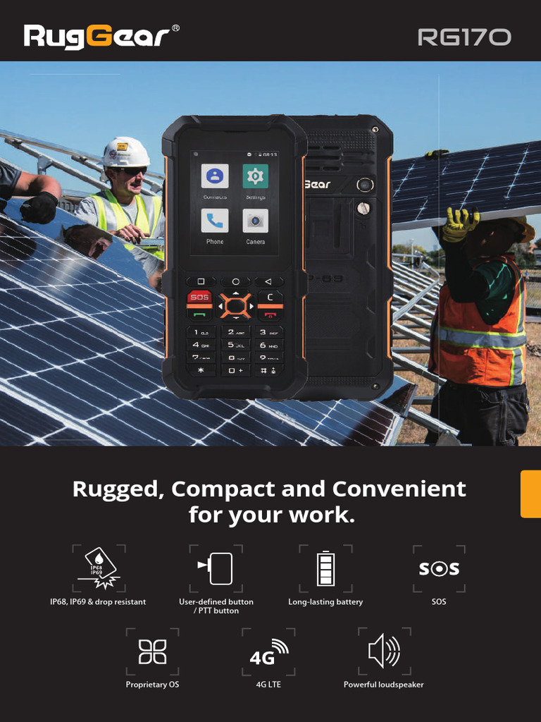 RG170 Datasheet | PDF