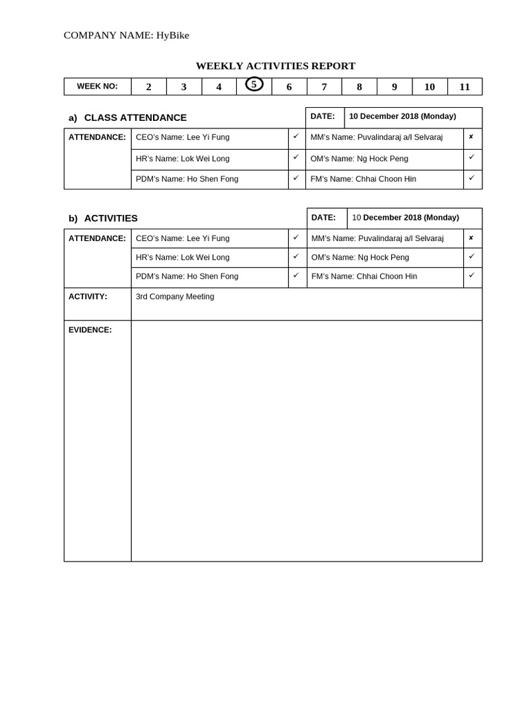 3rd Weekly Activities Report | PDF