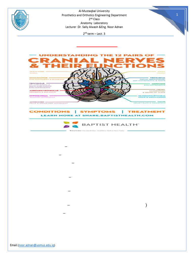 MUCLecture_2025_2153481 | PDF