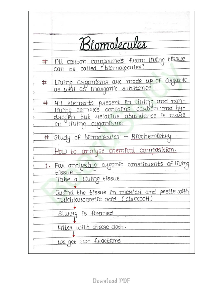 Class 11 Biology Handwritten Notes PDF | PDF
