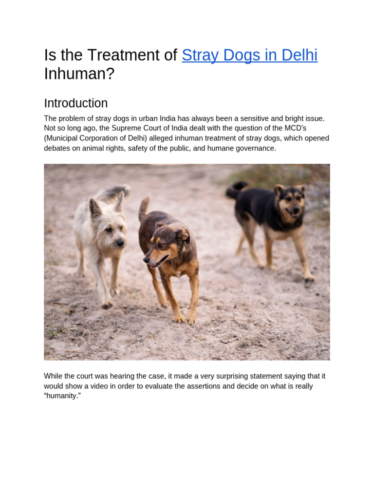 Is the Treatment of Stray Dogs in Delhi Inhuman | PDF | Dogs