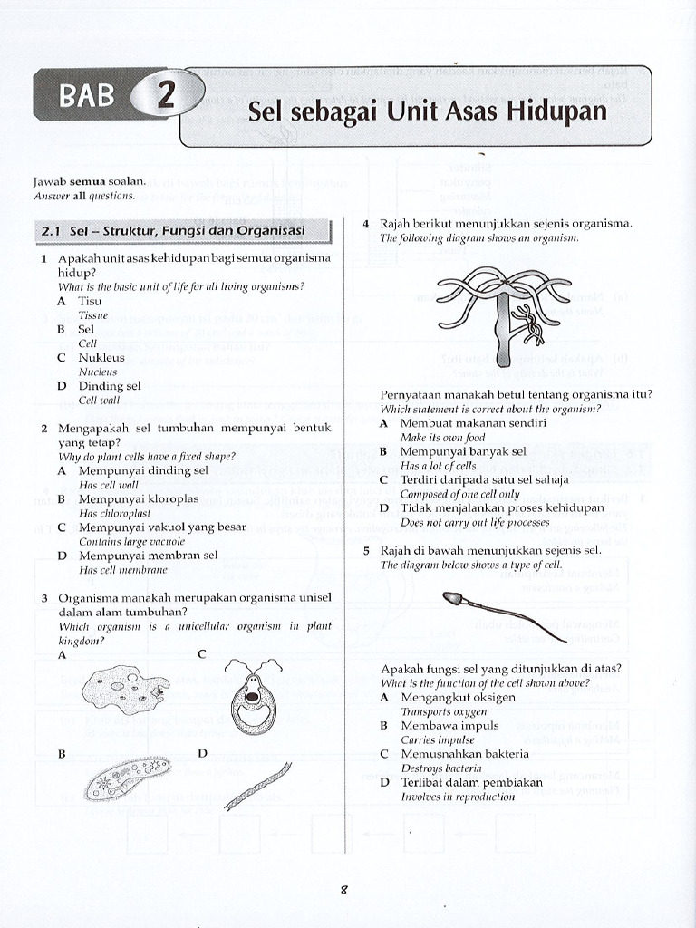 Sns Form 1 (Bab 2) Praktis Eco (DLP) - 9-13 | PDF