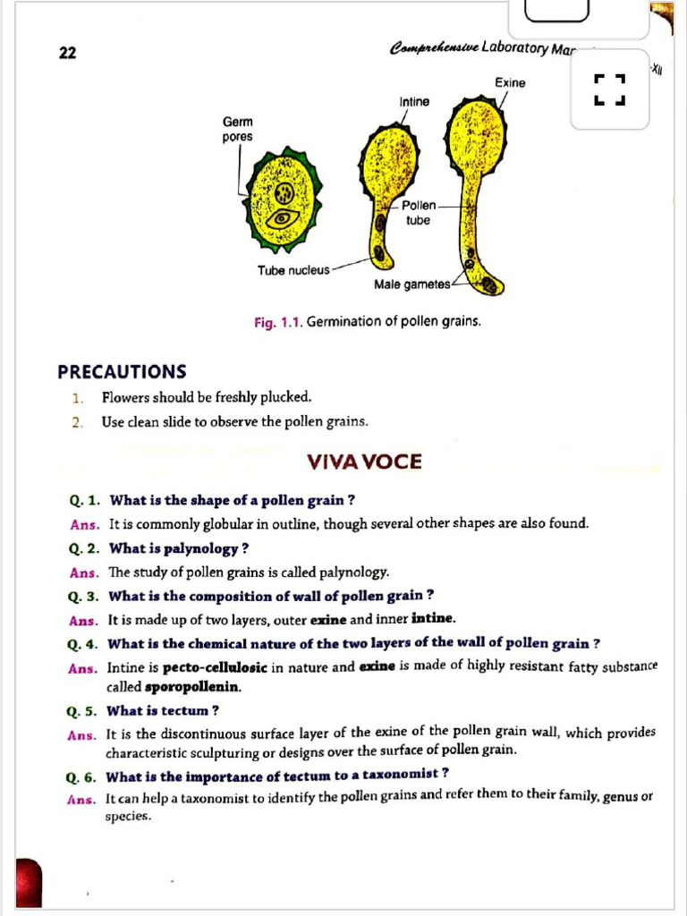 Practical 1 To Study Pollen Germination On A Slide | PDF