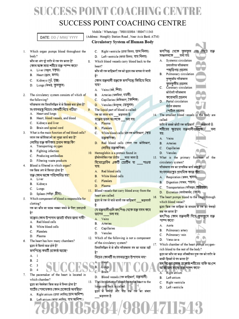 Circulatory System | PDF