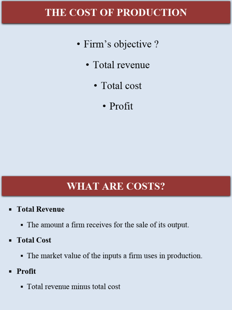 Understanding Production Costs and Profit | PDF | Average Cost ...