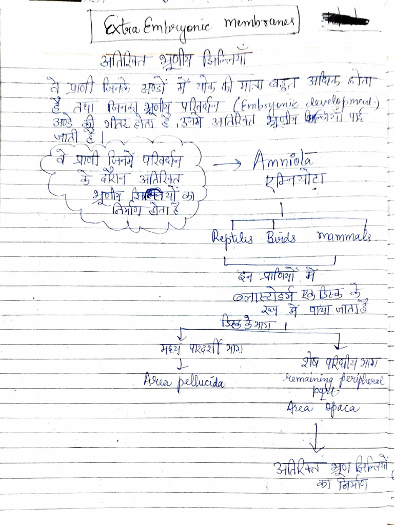 Adobe Scan 12 Mar 2024 (1) | PDF