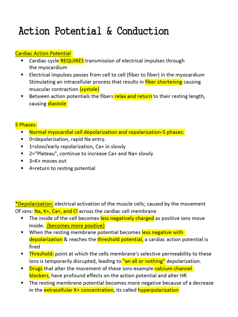Action Potential & Conduction | PDF | Cardiac Muscle | Action Potential