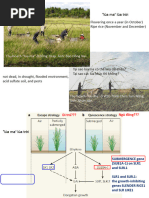 Print Graph Paper.com | PDF