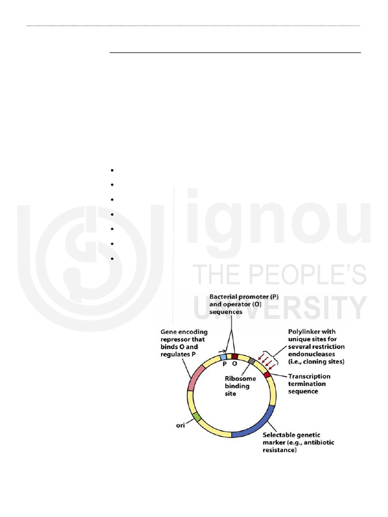 E. coli Expression Vectors Overview | PDF