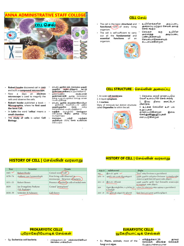 Microsoft PowerPoint - 1. Main Concepts of Life Science Cell English ...