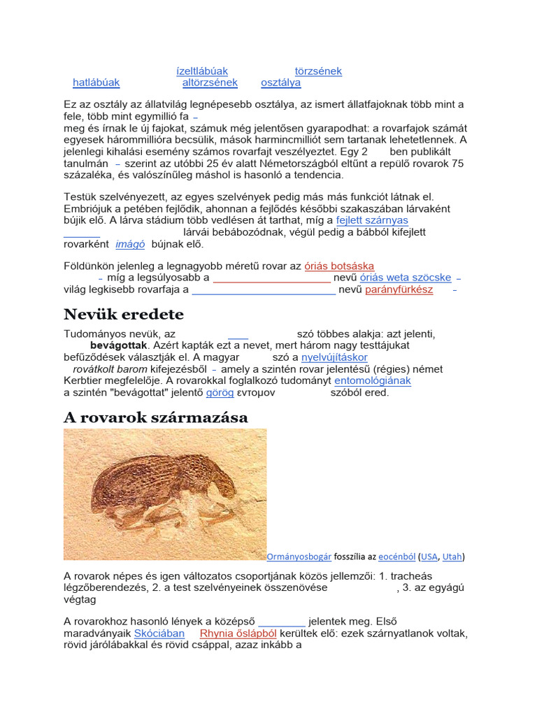 rovarok | PDF