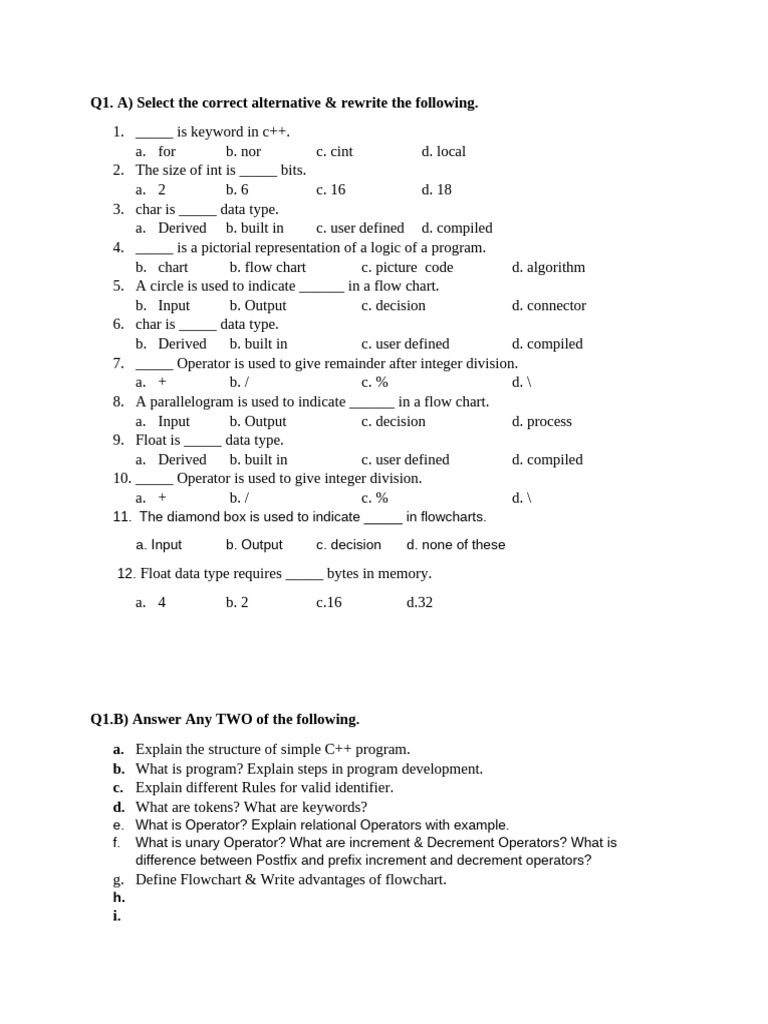Important Questions CS1 for Unit Test 1 | PDF | Data Type | Computing