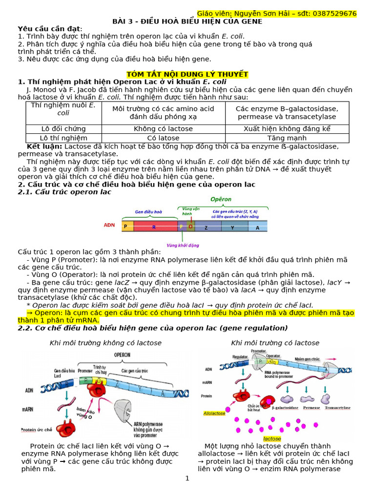 Bai 3 Dieu Hoa Hoat Dong Gen Dap An | PDF