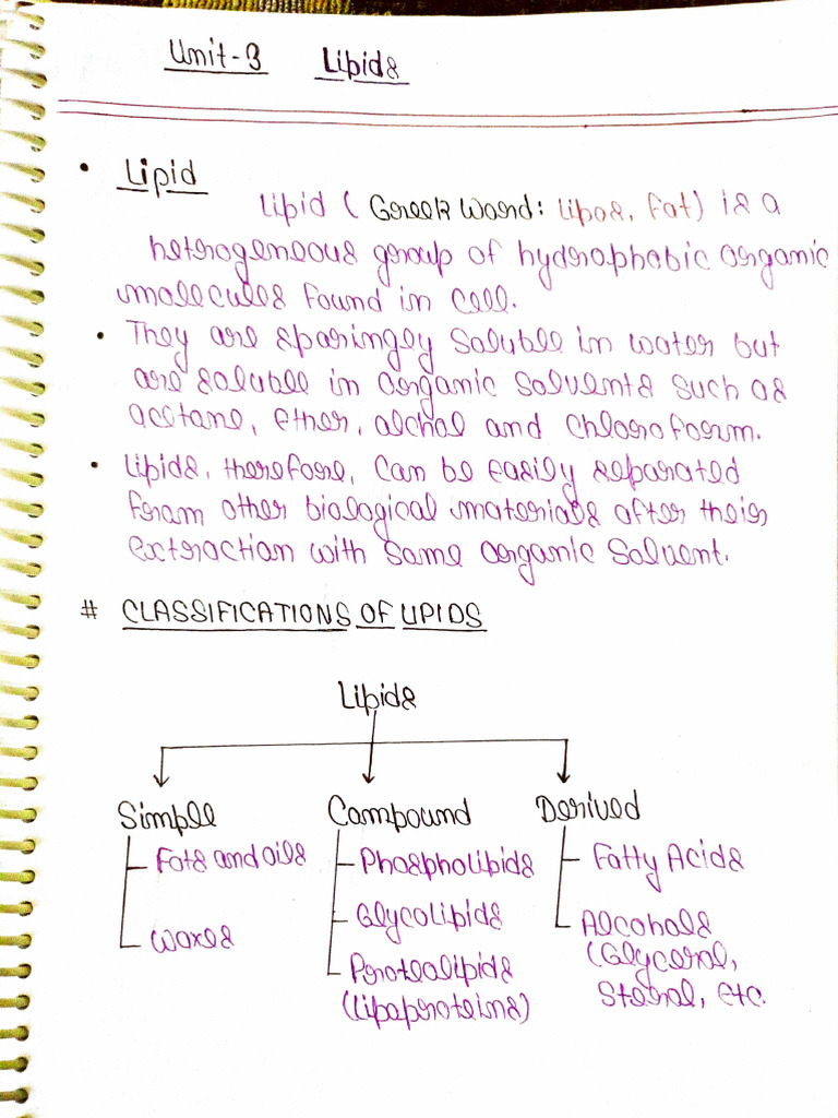 Biochemistry Unit 3 Lipid (1) | PDF