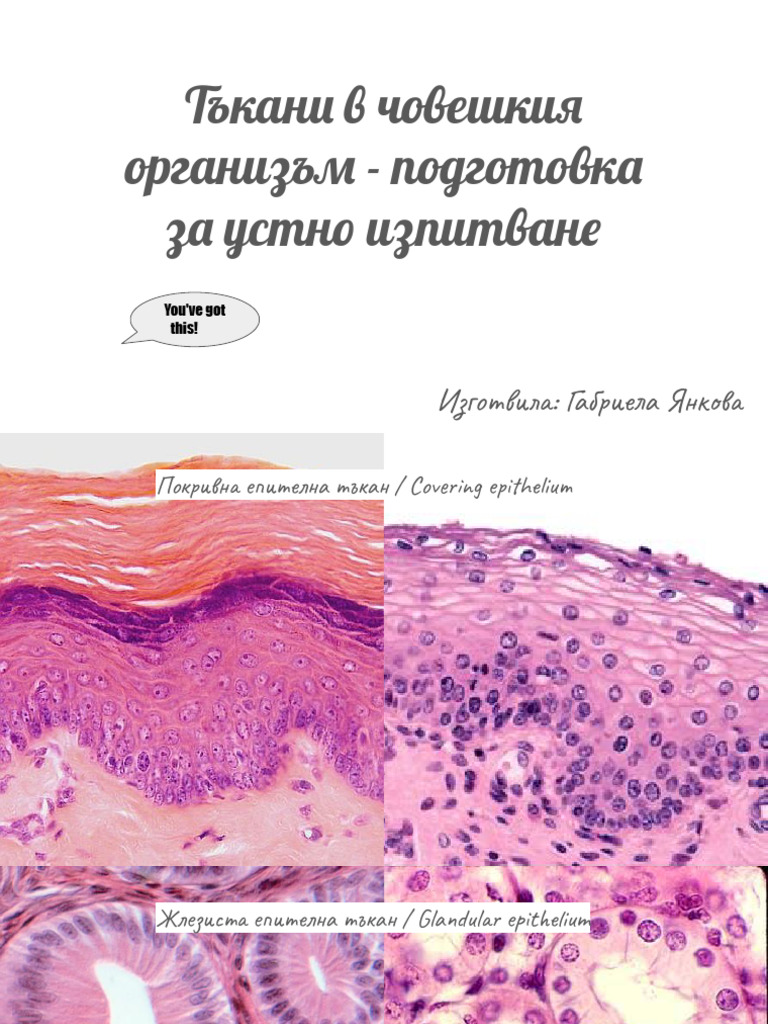 Tiekani Pri Coveka - Upraznenie | PDF