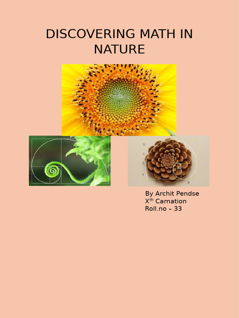 Math Project Coverpage | PDF