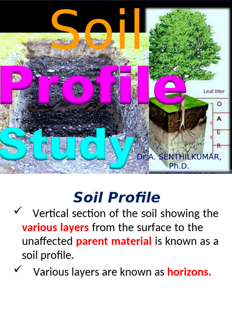 Lec. 11 - Soil Profile | PDF | Soil | Natural Materials