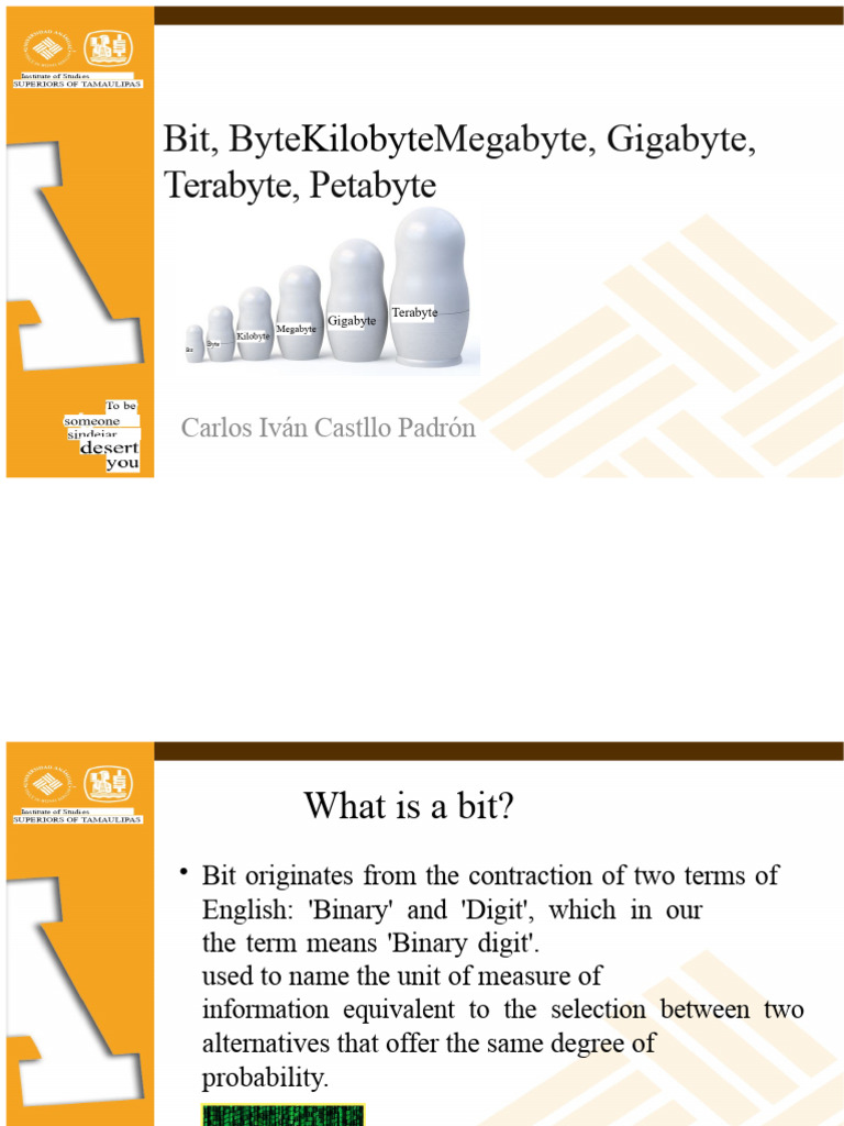 Bit, Byte, Kilobyte, Megabyte | PDF