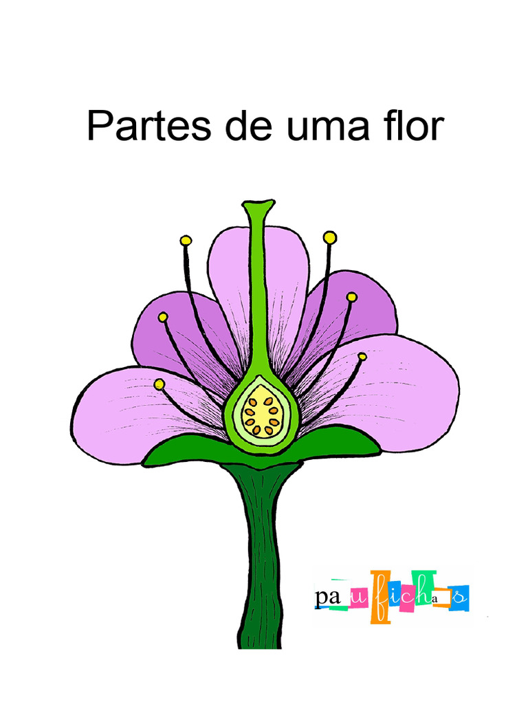 Partes da Flor: Recursos Educacionais Grátis | PDF