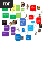 Primate Skull Comparison Data | PDF | Homo | Paleoanthropology