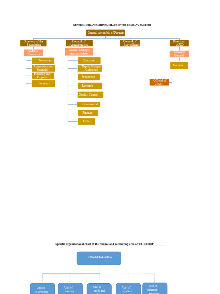 General and Specific Organizational Chart - El Ceibo | PDF