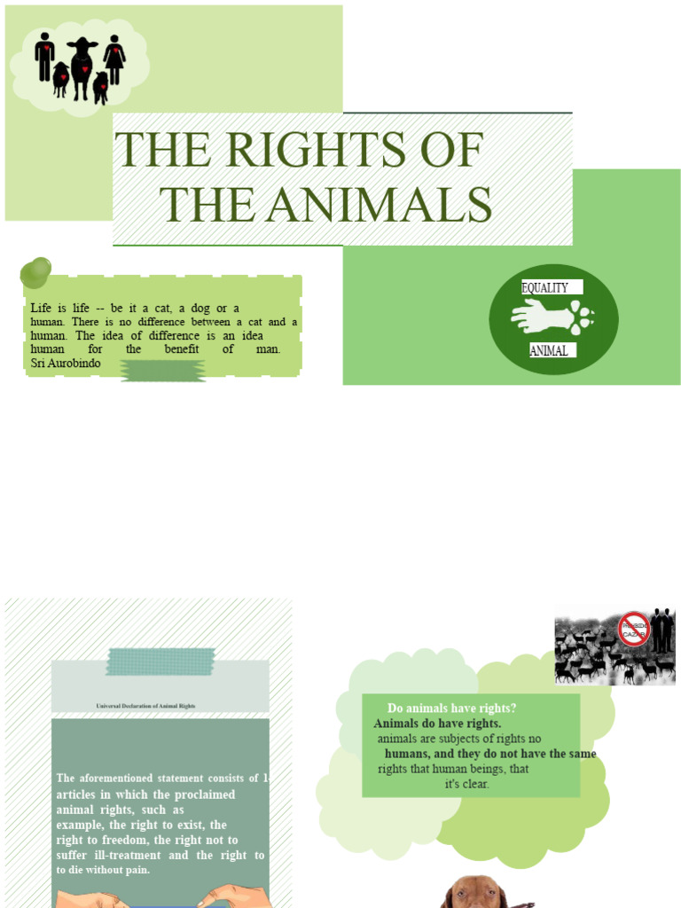 THE RIGHTS OF ANIMALS | PDF | Animal Welfare | Well Being