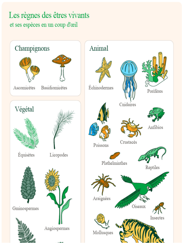 Règnes des êtres vivants et espèces | PDF