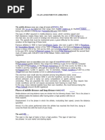 800m Race Rules and Safety Guidelines | PDF