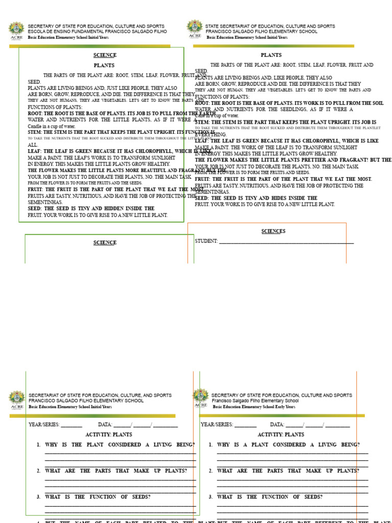 Understanding Plant Parts and Functions | PDF | Plants | Root
